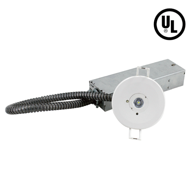 Monitoring Type Emergency Down Lights (LF-ELDR2) | Lifeco